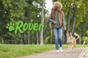 Rover App Review [Is Rover Dog Walking Worth It?] - Frugal Rules